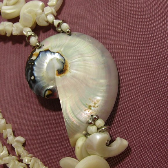 Unbranded | Jewelry | Beach Hobo Surfer Tropical Hawaiian Shell Puca ...